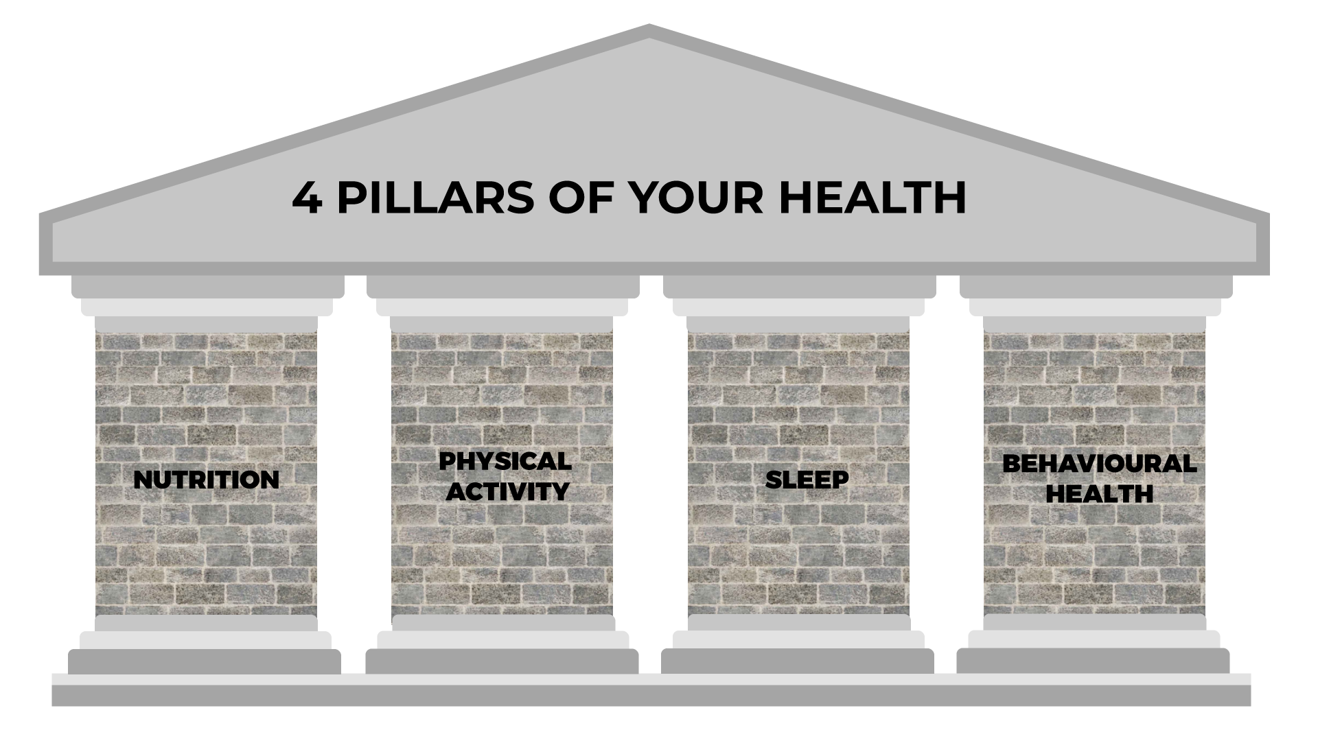 4 Health Pillars